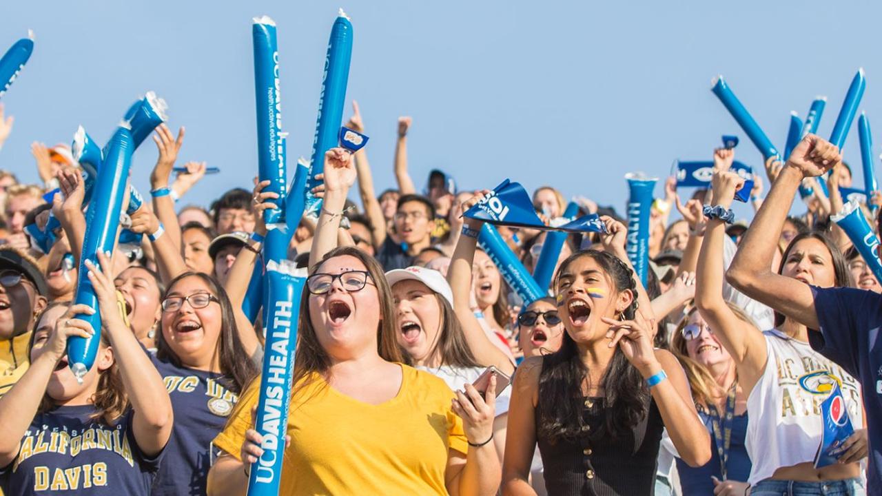 Freshman Aggie Experience Live | College of Agricultural and ...