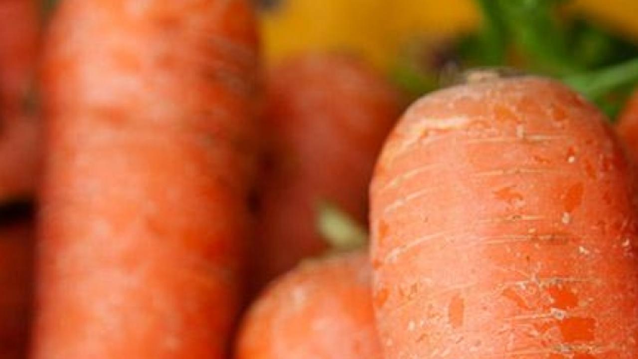 Carrot Genome Paints Colorful Picture | College of Agricultural and ...