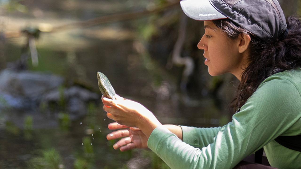 Majors Focused on Climate Change | College of Agricultural and ...