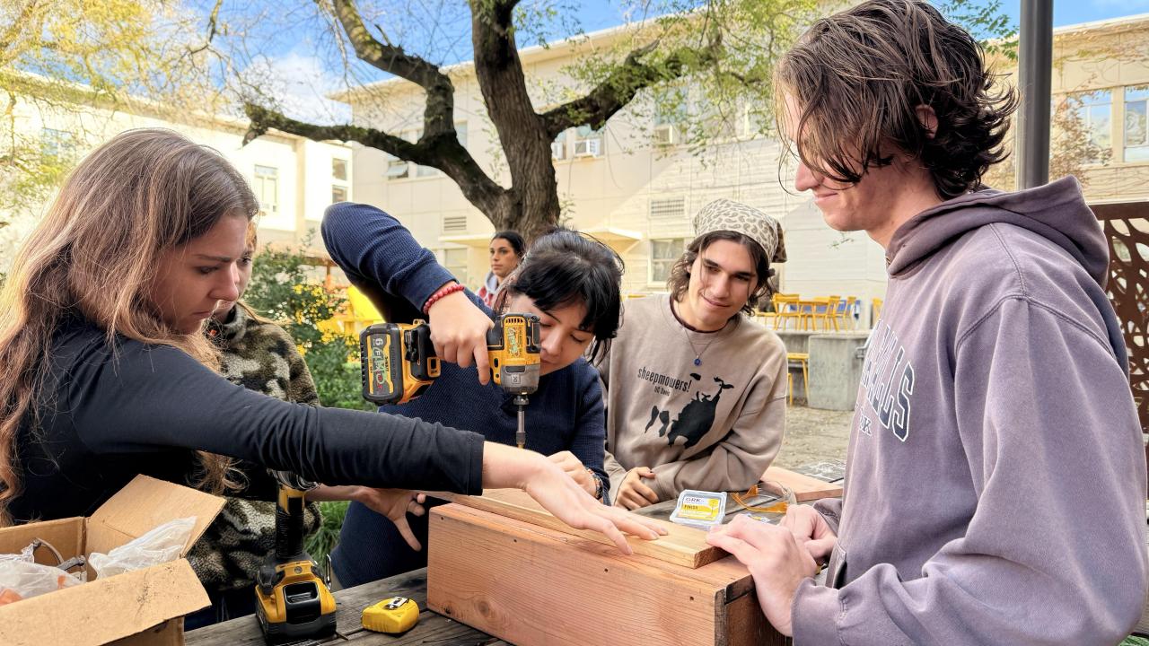 A Golden Year for Design and Community | College of Agricultural and ...