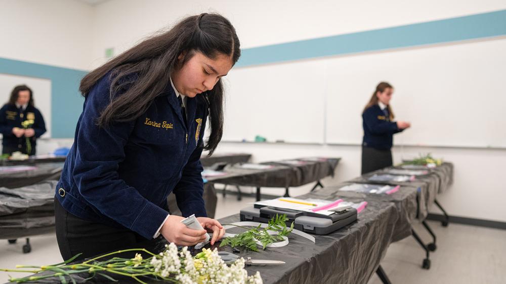 Field Day | College of Agricultural and Environmental Sciences