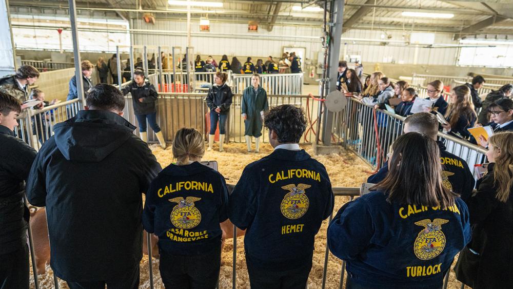 Field Day | College of Agricultural and Environmental Sciences